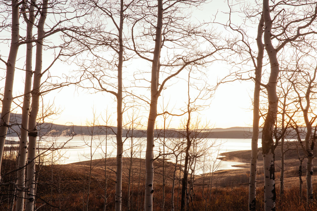 Home - Strawberry Bay Marina