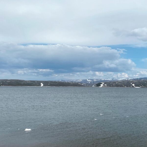 Community - Strawberry Bay Marina