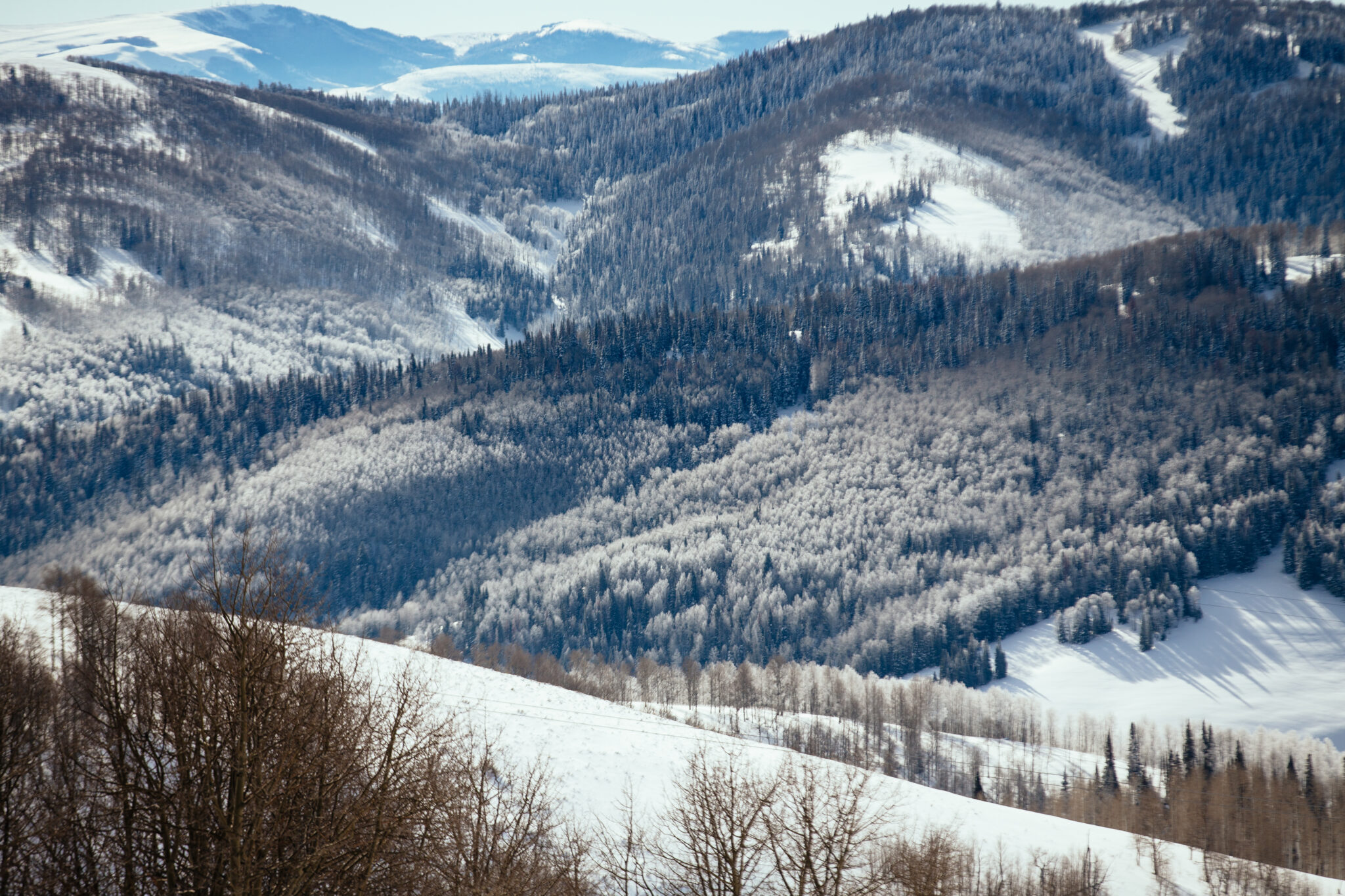 Home - Strawberry Bay Marina