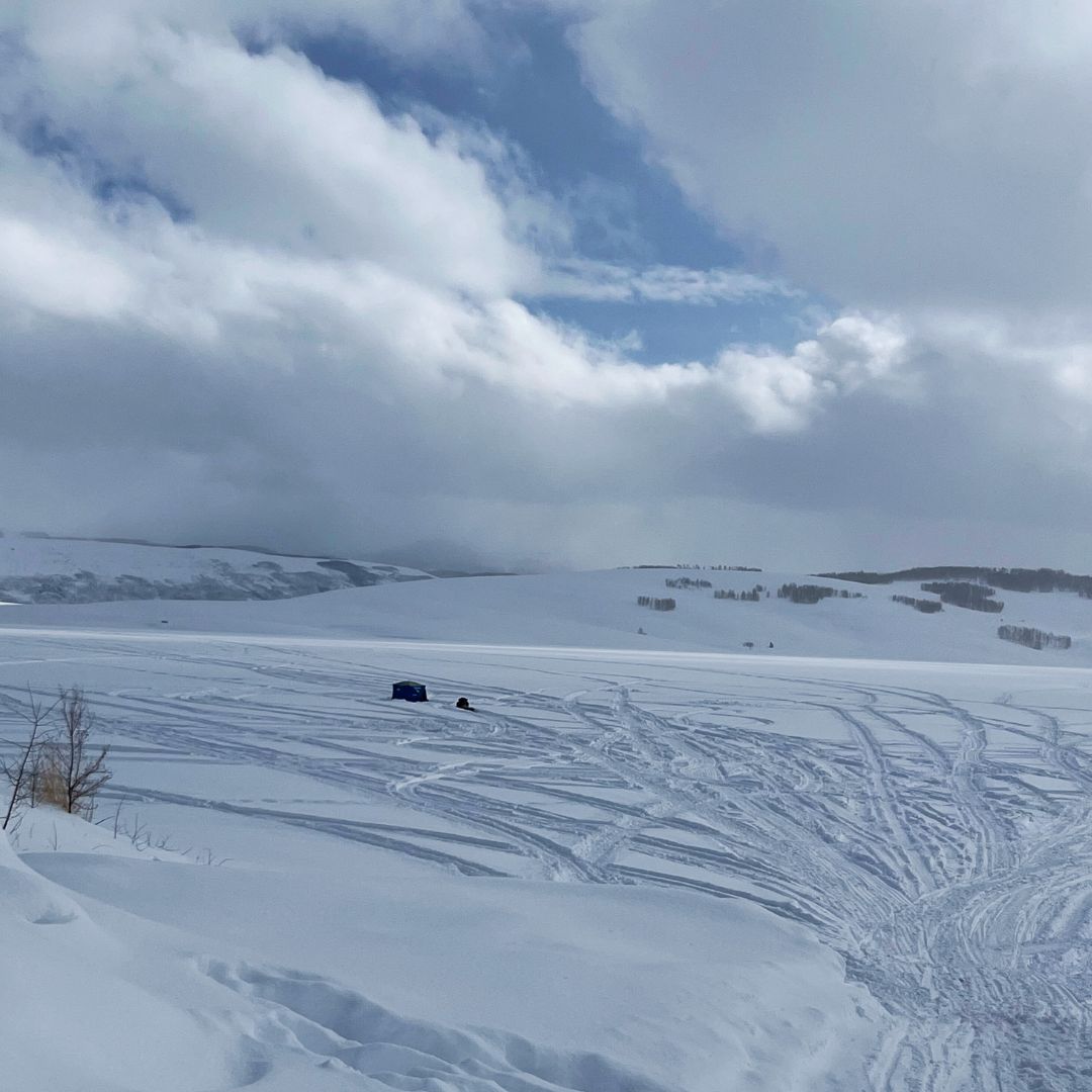 Home - Strawberry Bay Marina