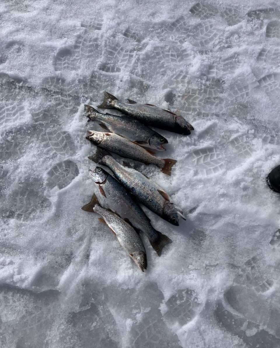 Home - Strawberry Bay Marina